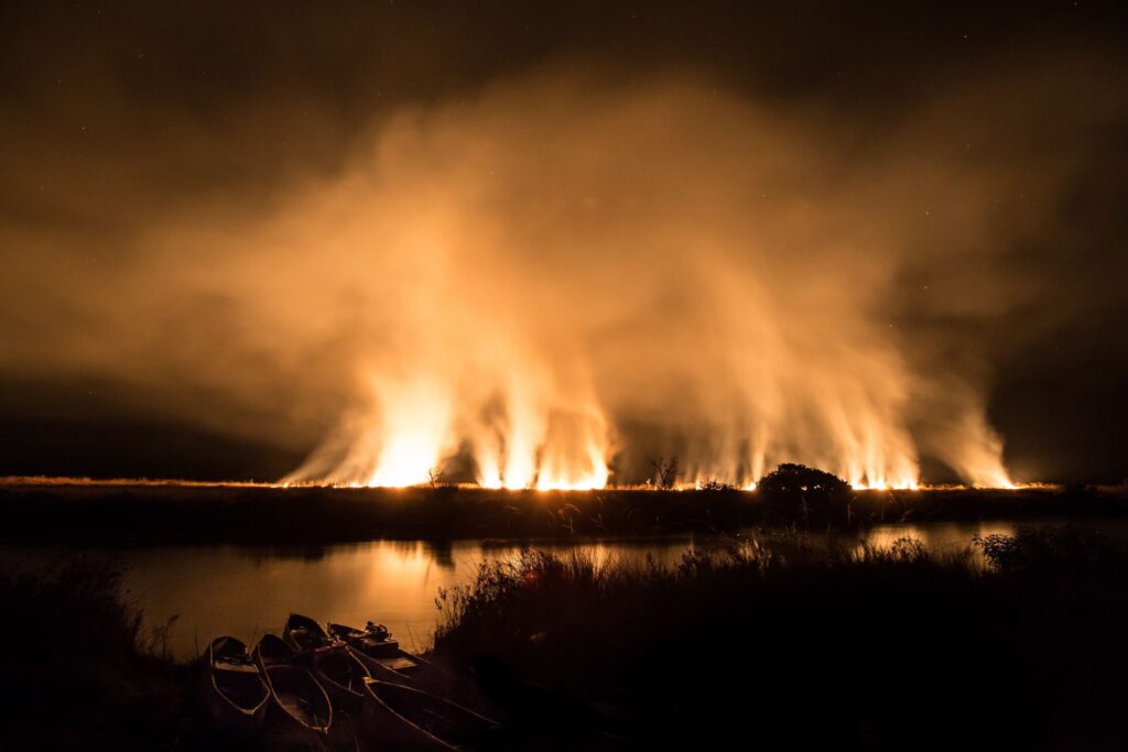 Okavango Wilderness Project - National Geographic Society