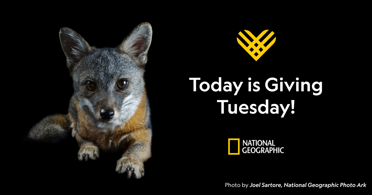 Giving Tuesday Donor Toolkit - National Geographic Society