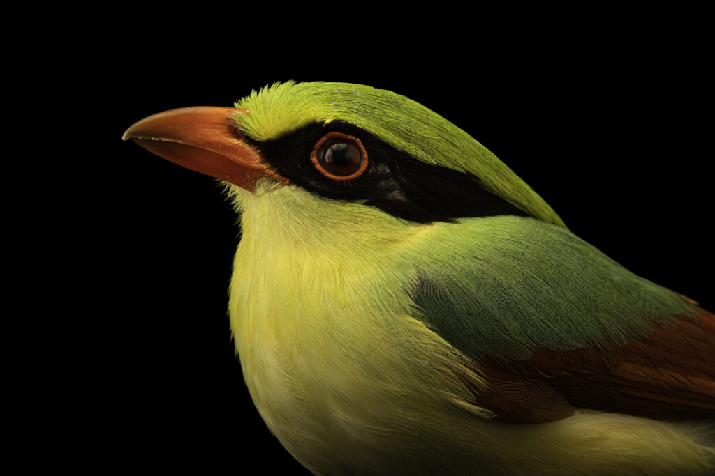 Photo Ark - National Geographic Society
