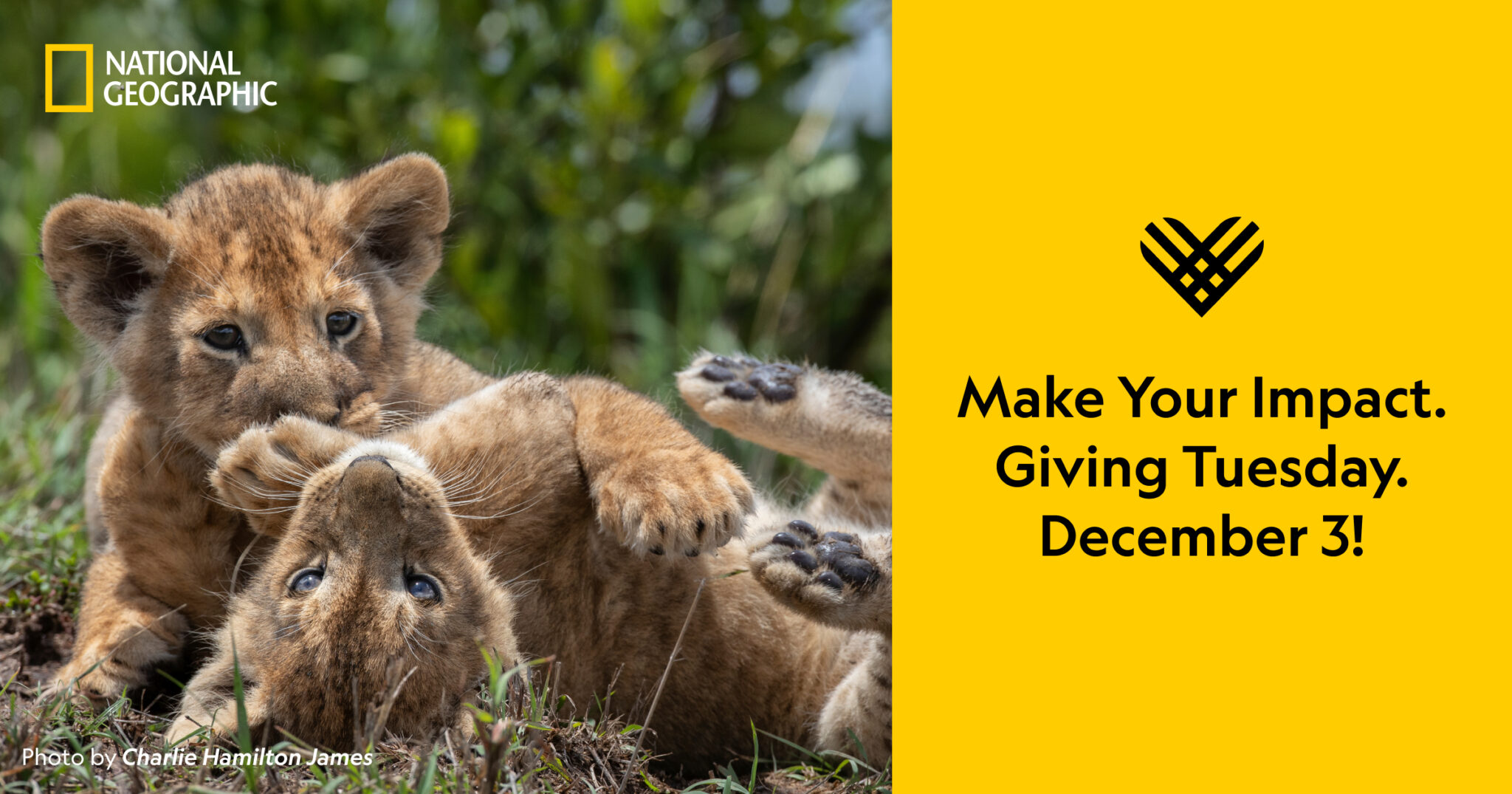 Giving Tuesday Donor Toolkit - National Geographic Society